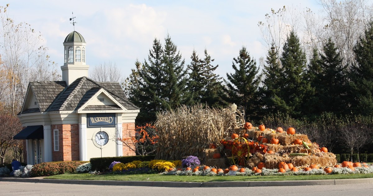 The Yellow Cape Cod: Our Neighborhood's Welcome