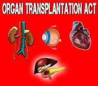 TISSUE AND ORGANS TRANSPLANTATION | Biotechnology