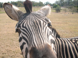 PARQUE ZOOLOGICO LECOCQ. MONTEVIDEO: COMO LLEGAR AL PARQUE LECOCQ