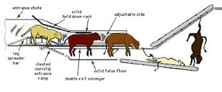 ZAGUATES Y MISINGOS: TEMAS ANTERIORES