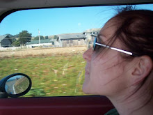 Alison Calhoun Graphic Portfolio