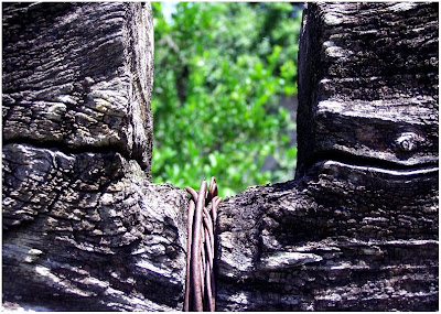 Mis Quejumbrosas Fotos: Resquicio.