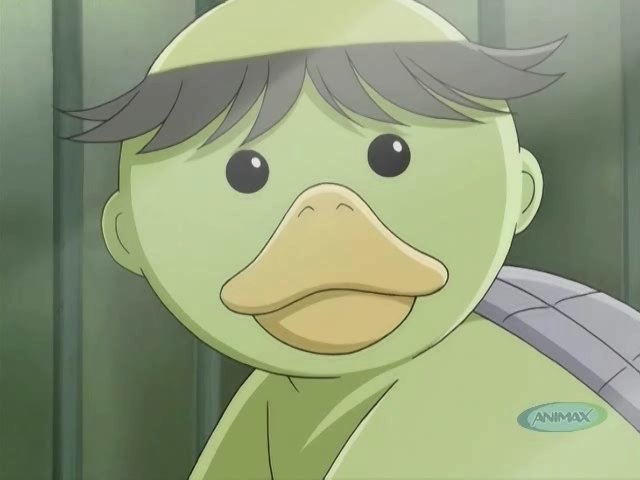 Weib Kreuz Group: Kappa