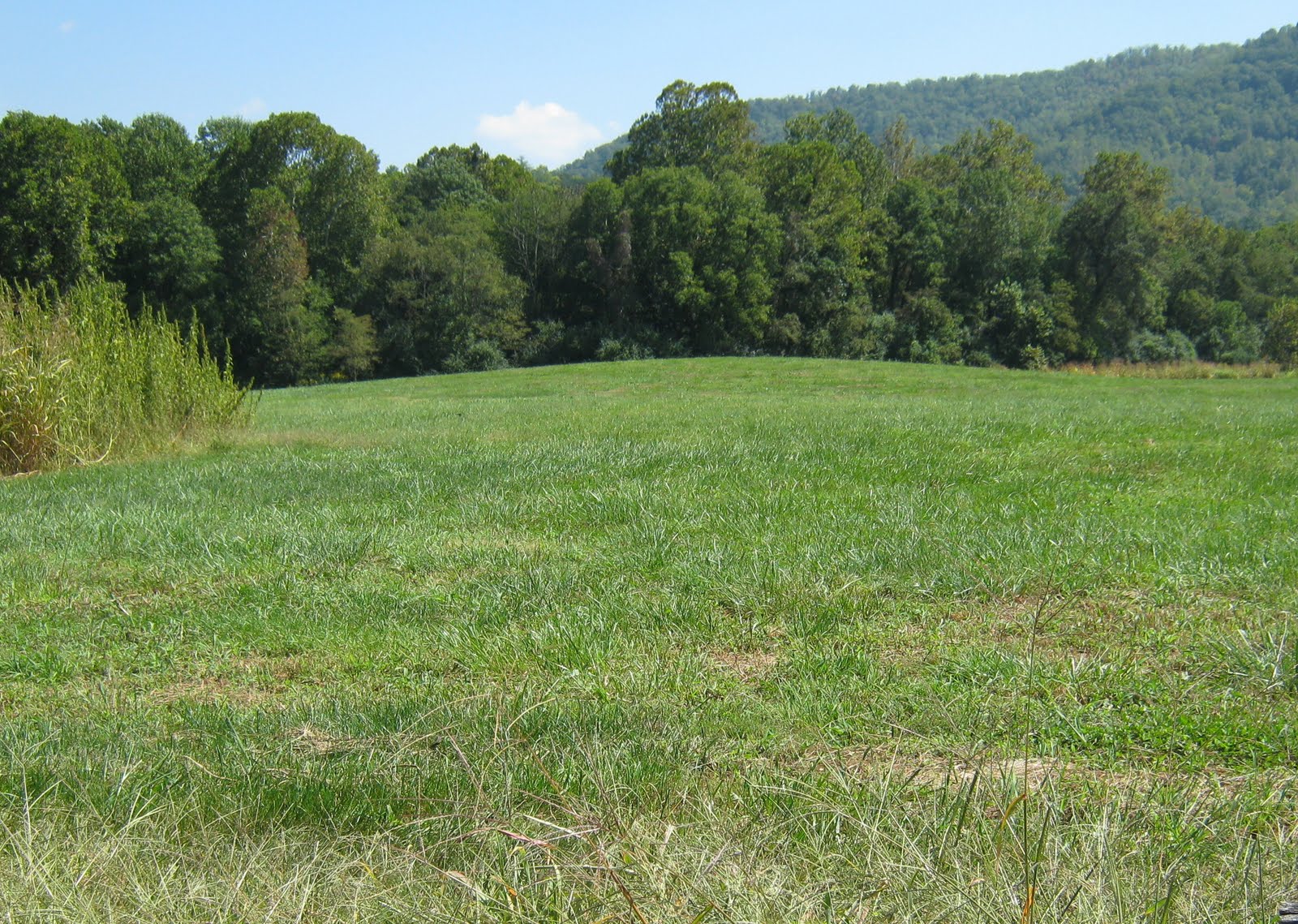 Thoughts from Polly's Granddaughter: Wordless Wednesday - Kituwah Mound