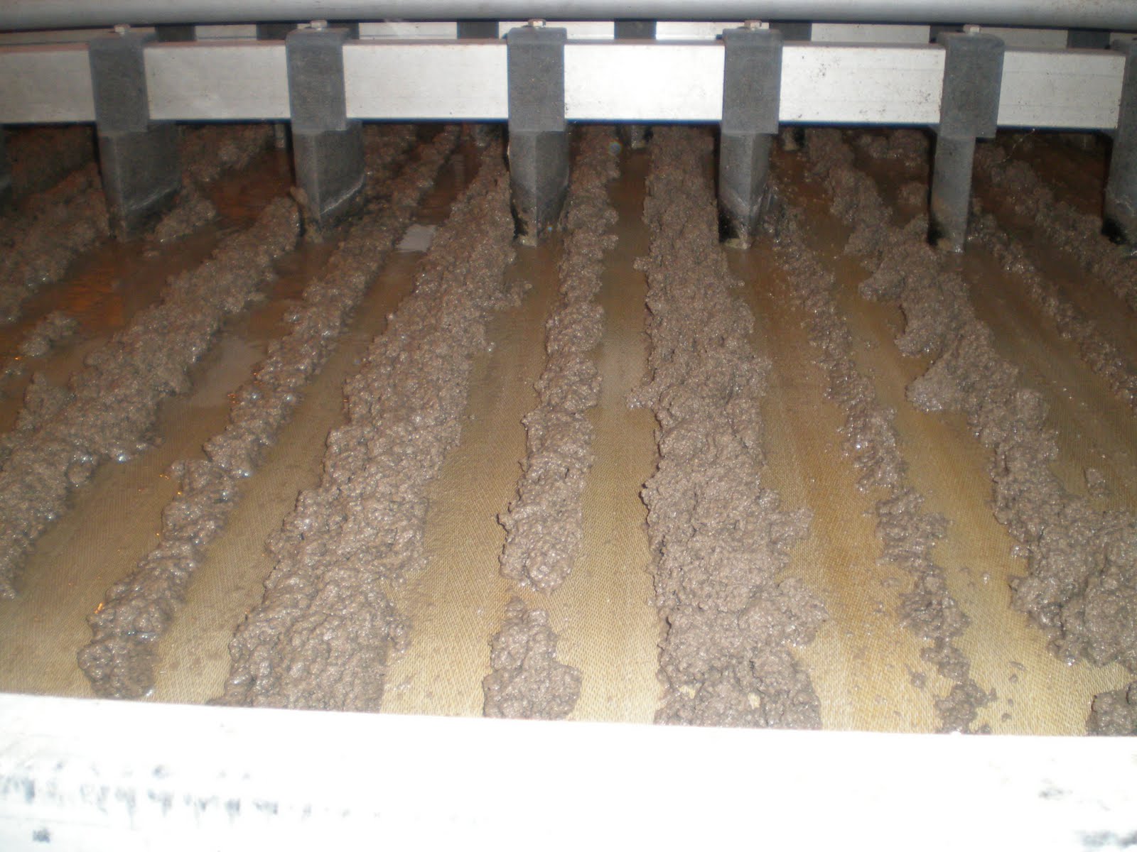 My Experience at the Savannah River Site: What's that smell?! RAW SEWAGE!