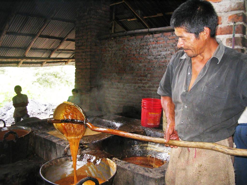 LA PANELA: la panela