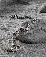 Snake Robot Project | Fun with basic robot