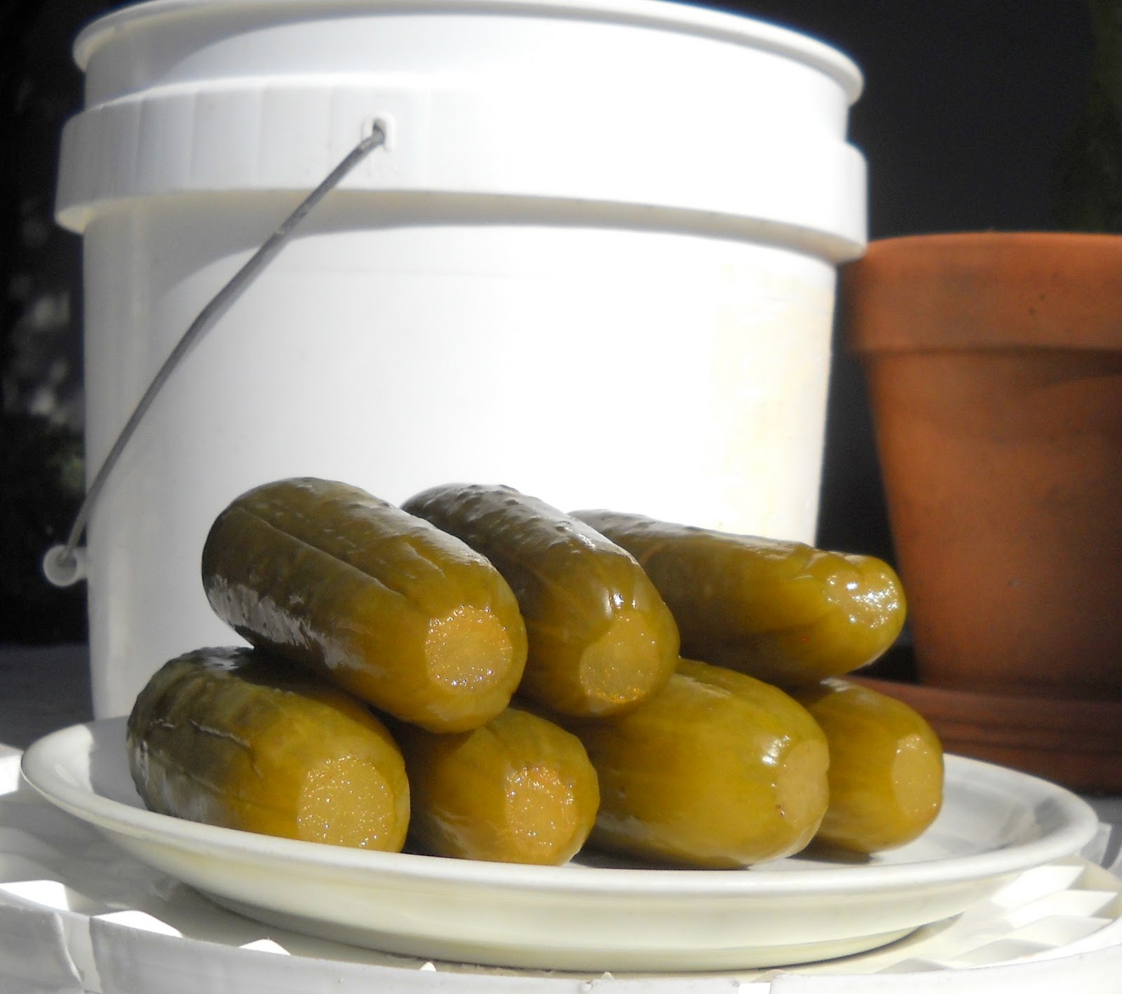 Danger! Men Cooking!: Old Fashioned Fermented Garlic Dill Pickles and ...