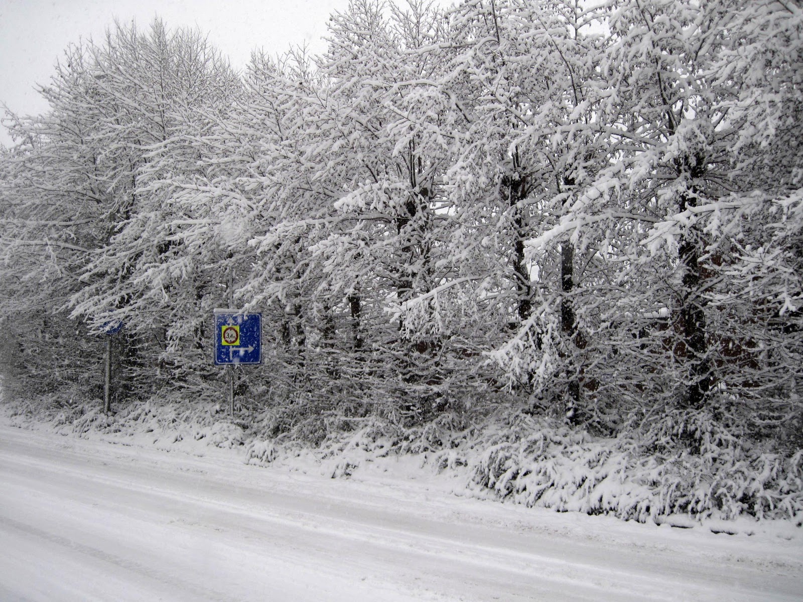 Tales of Expat Life and Musings: A December Winterland