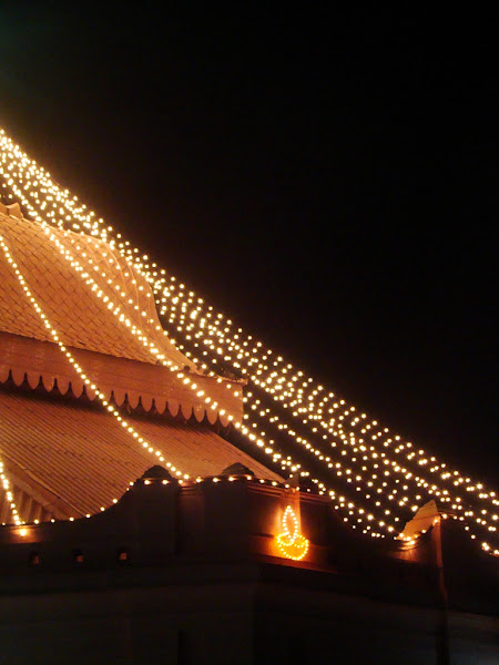 VADALUR VALLALAR: VADALUR TAI POOSAM 2011