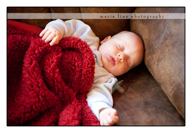 Maria Linz Photography: Linz Family