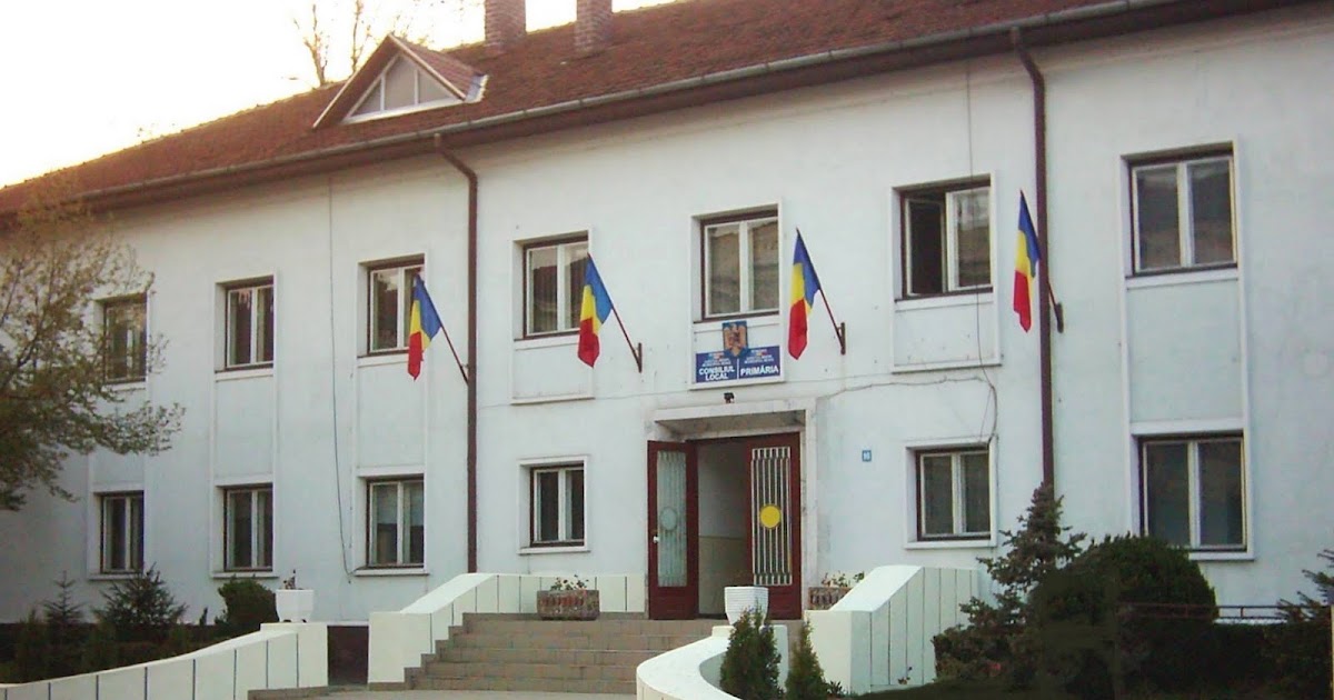 BEIUS - SIMION R. SUCIU: INSTITUŢII