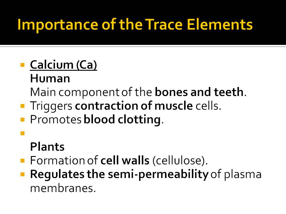 Biology: Chapter 4 : Chemical Composition of Cell