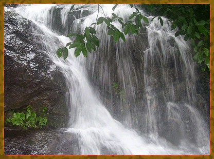 Welcome to Nenmara / Nemmara Village!: WAYANAD