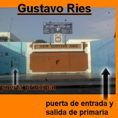 gustavo ries
