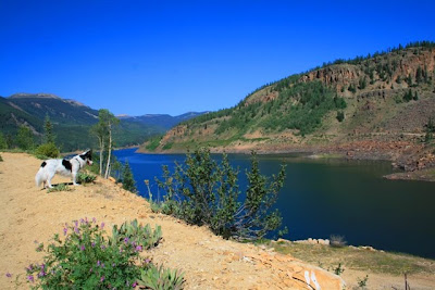 Travel Update for Family and Friends: Thirty Mile Campground Creede ...