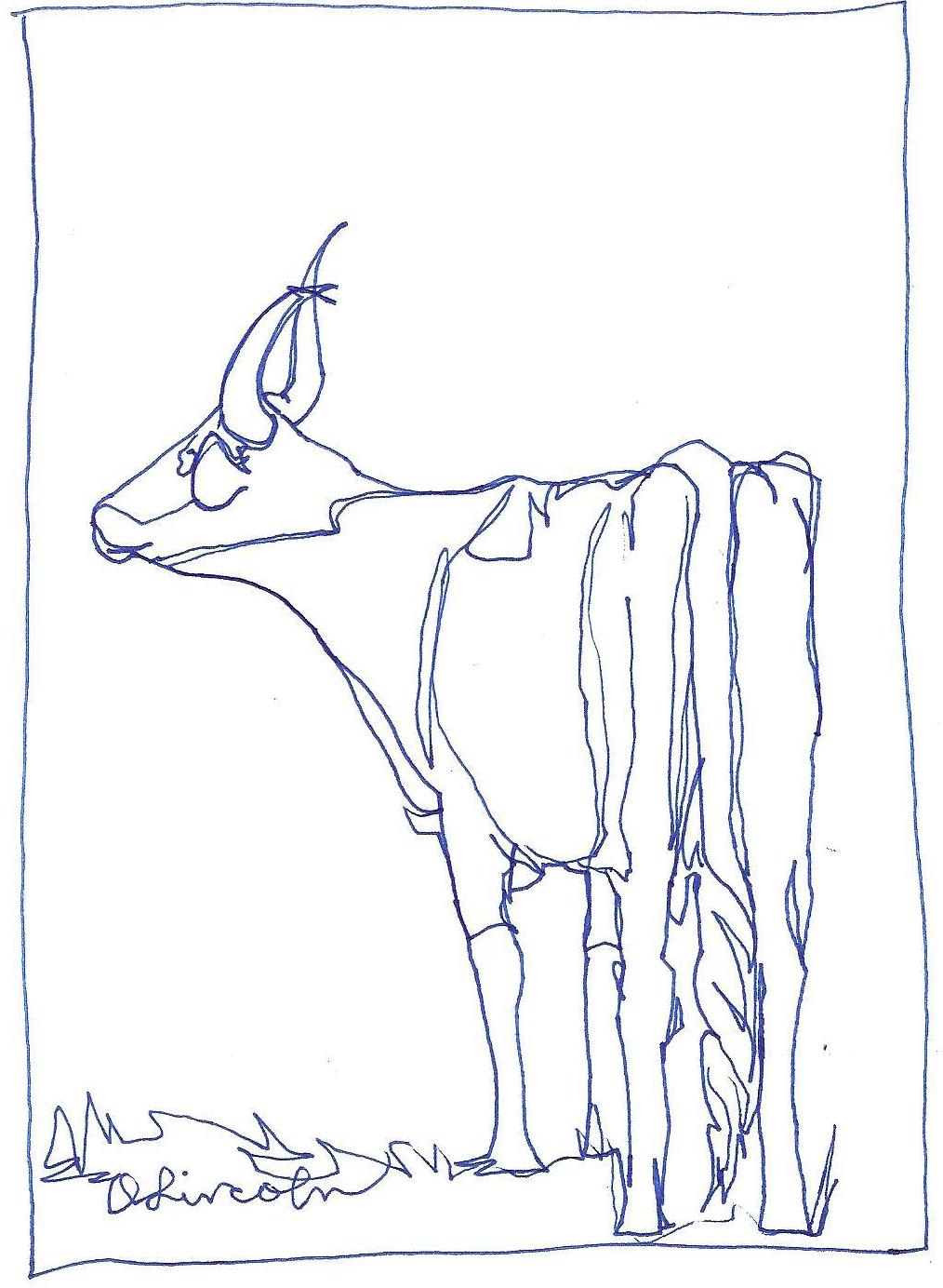 Now or Never: Moo - continuous line drawing