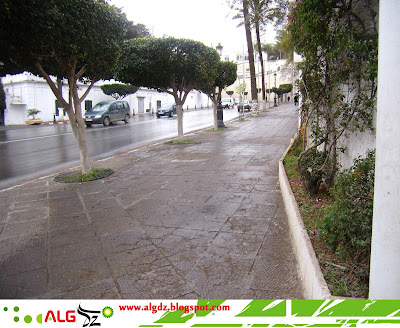 Photos d'Alger,l'Algérie visiter l' Algérie en image à tout moment ...