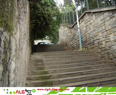 Photos d'Alger,l'Algérie visiter l' Algérie en image à tout moment ...