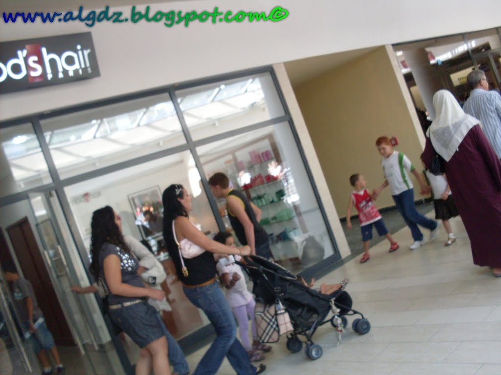 Photos d'Alger,l'Algérie visiter l' Algérie en image à tout moment ...