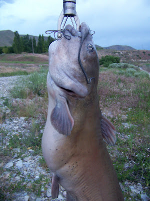 Dunc's Fishing Adventures: Back to the Basics