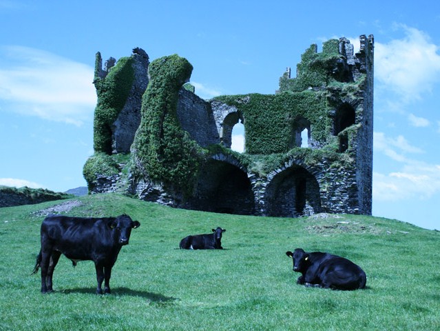 EVolution: IRELAND Chapter 3 Castle in a Cow Field