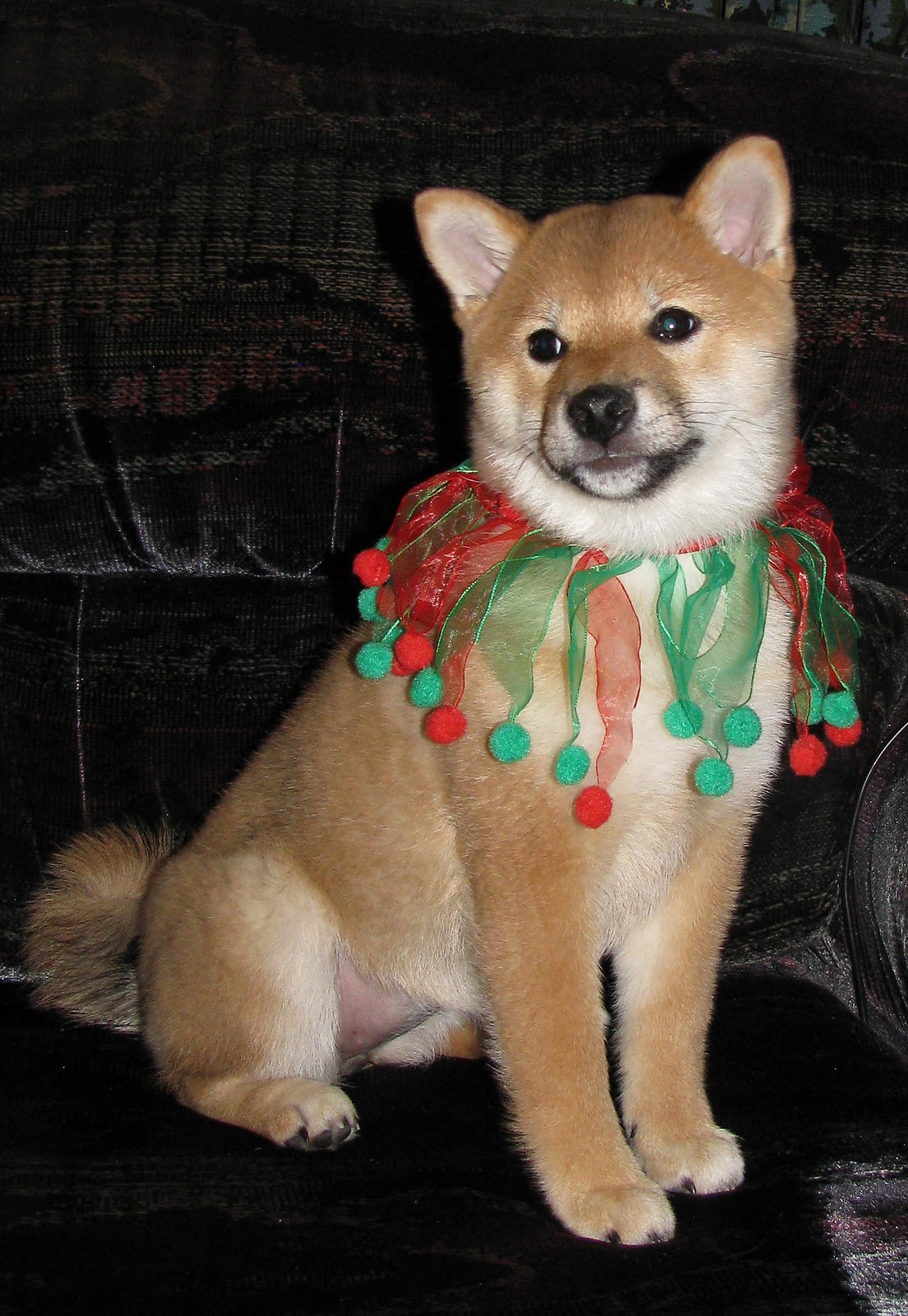 Blissfully Stitching: February 2011