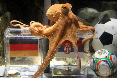Fidgety Fingers: IN CELEBRATION OF THE GERMAN PSYCHIC OCTOPUS, PAUL ...