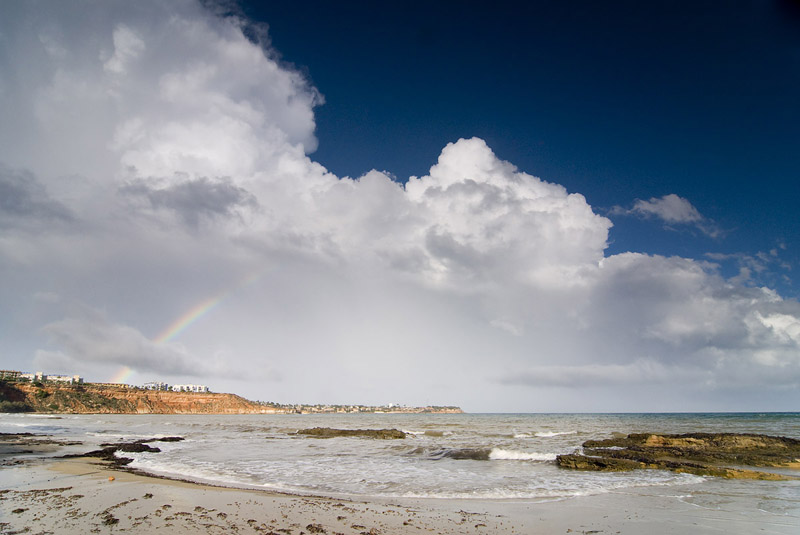 Mil Palmeras de Campoamor: Vistas desde Mil Palmeras de Campoamor