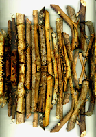 Palo Mayombe: Introducción a Palo Monte