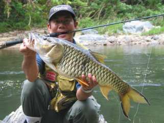 KAKI PANCING: Sebarau fishing technique (bait drift)