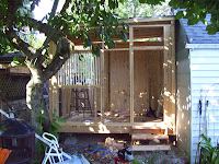 Red-Tailed Tales: Mew ( Hawk-house) begininning