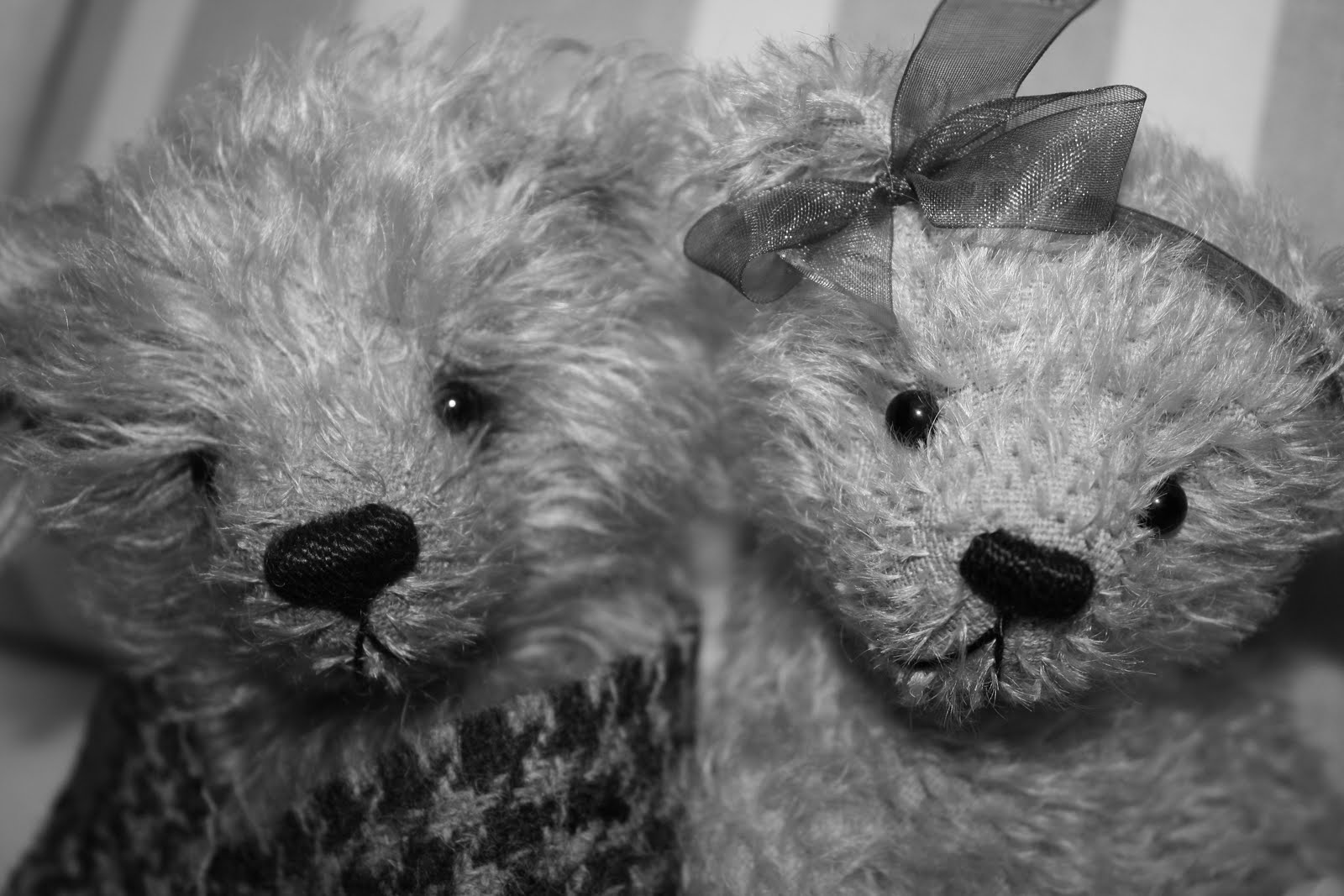 tales of 'snowdrop cottage': Today's the day the teddy bears...
