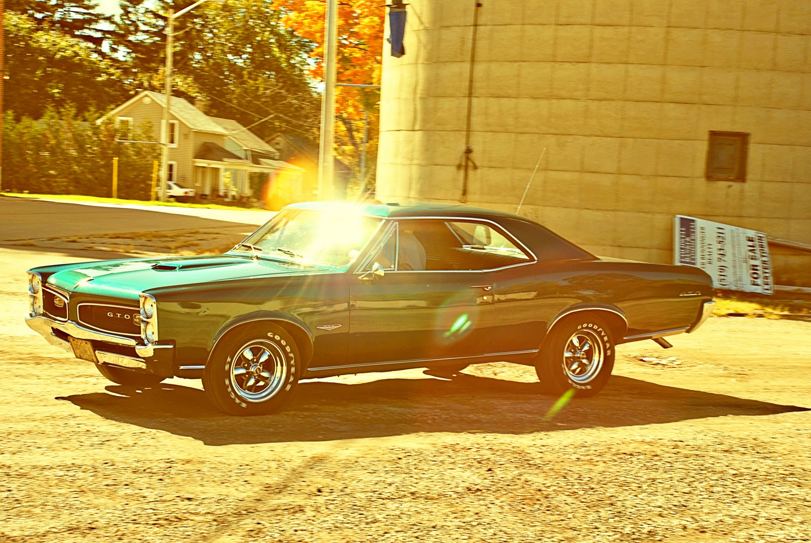 Niki Parker Photography: 66 GTO