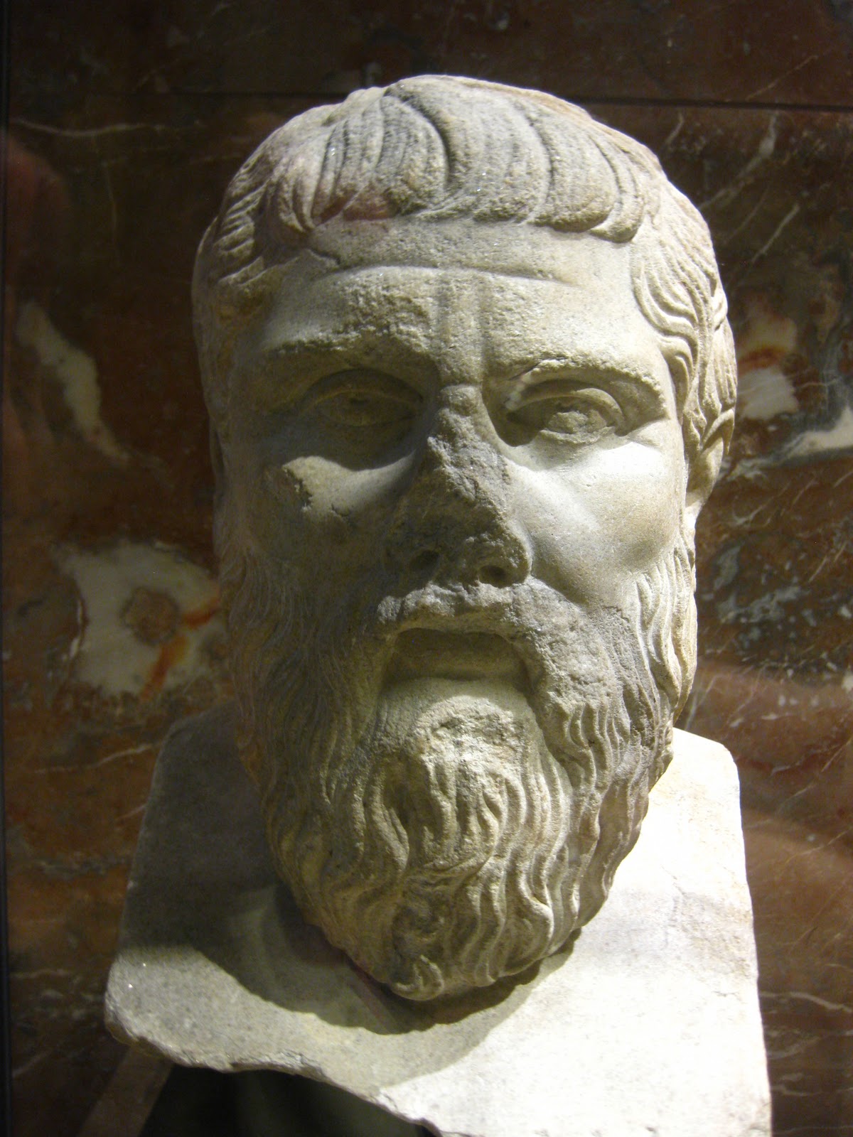 la vie boheme: Plato and red wine