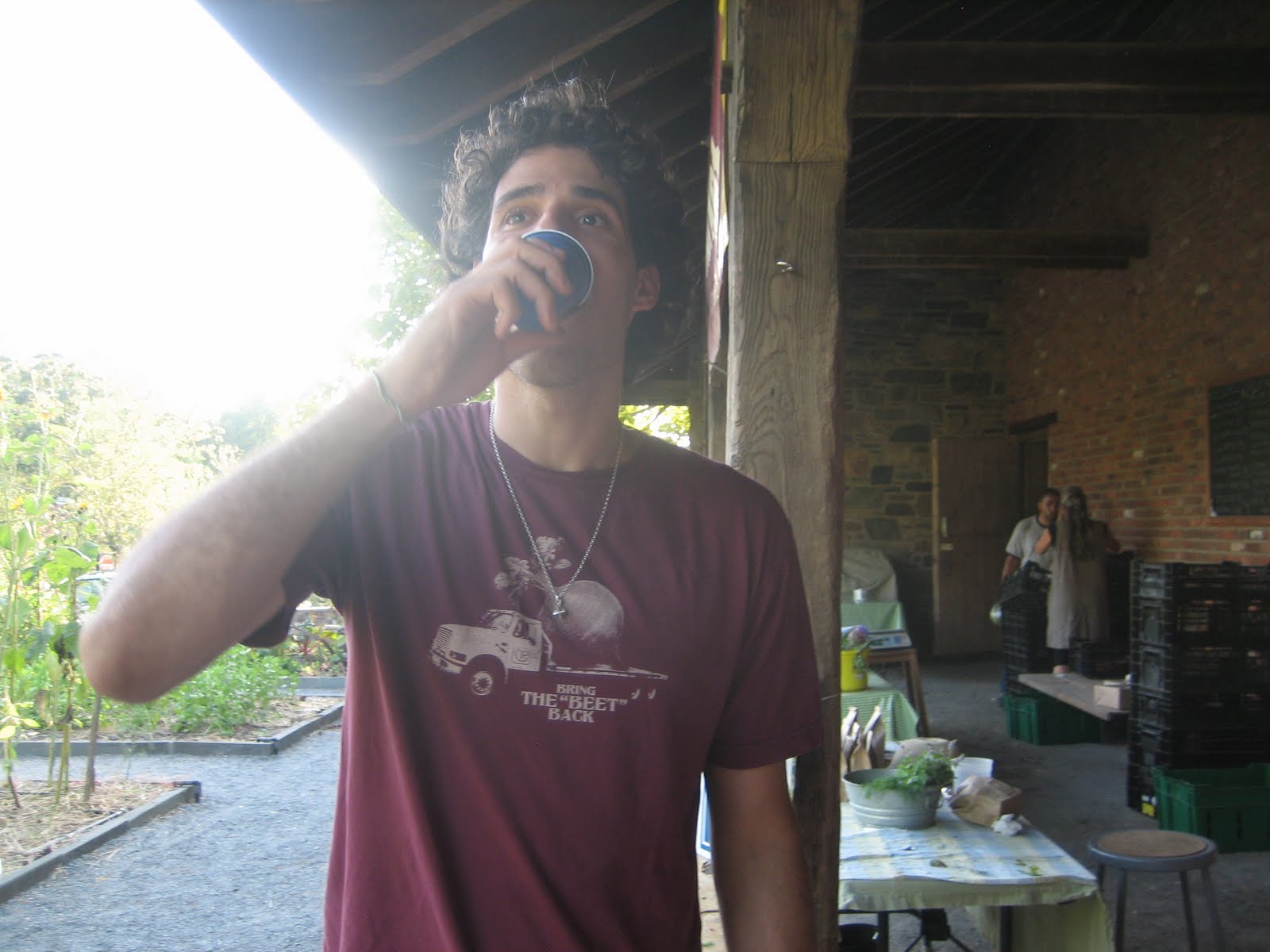 Have You Ever Picked A Carrot?: Raw Eggs...mmm Tastes Like Chicken