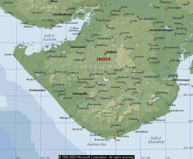 Magnificent Memons: 1/2/11 - 1/9/11