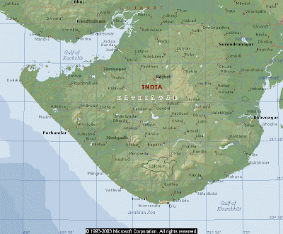 Magnificent Memons: 1/2/11 - 1/9/11