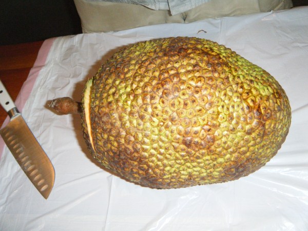 Life in Panama: Fruits & Vegetables Panama