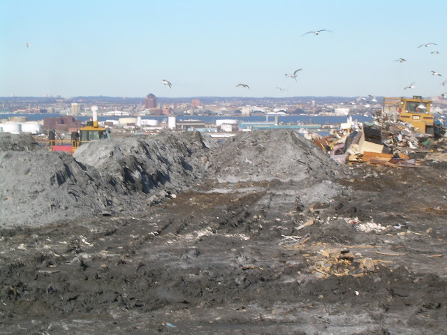 Baltimore InnerSpace: Quarantine Landfill