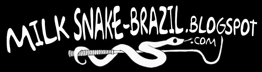 KING SNAKE BRAZIL