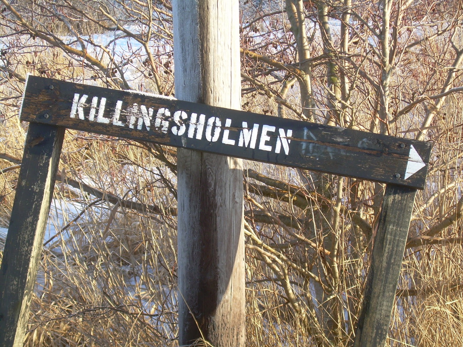 insikter från ett uterum med utsikt: B-promenaden Billdals Park och så ...