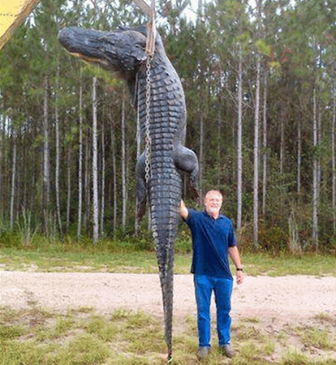 Eolake Stobblehouse thoughts: 1000 Lb Gator Shot in Houma, LA