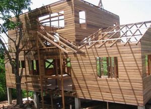 Green Heart Houses