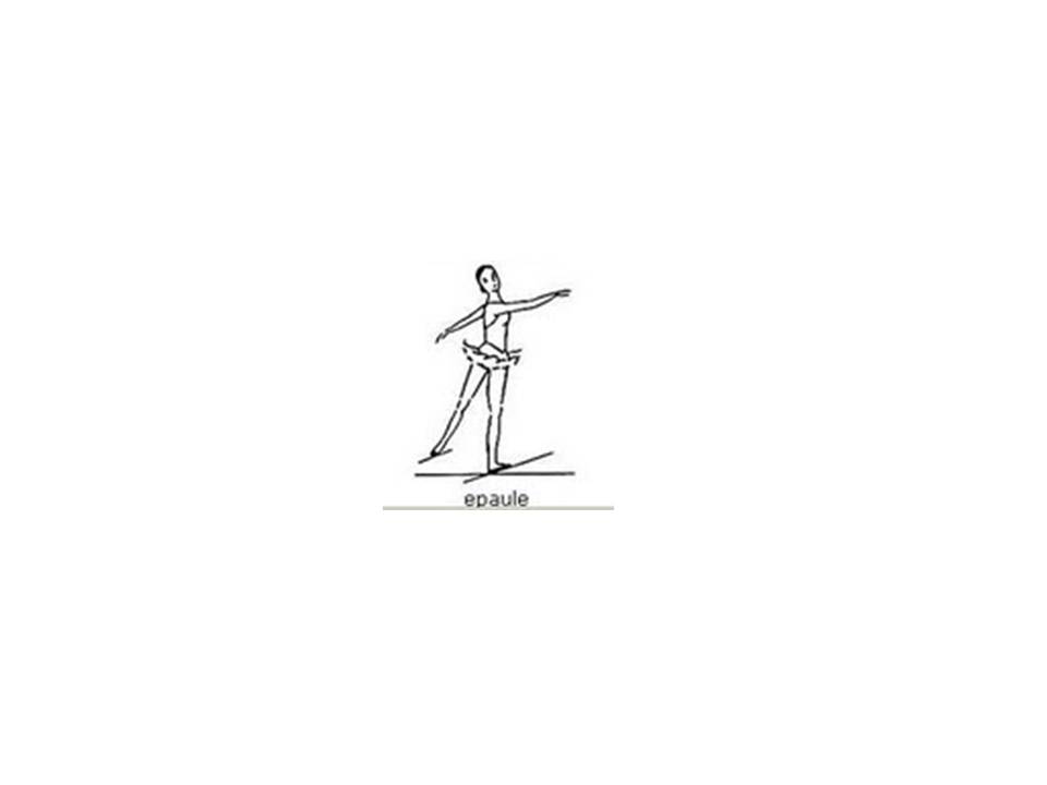 The Classic Ballet: POSICIONES BASICAS DEL CUERPO