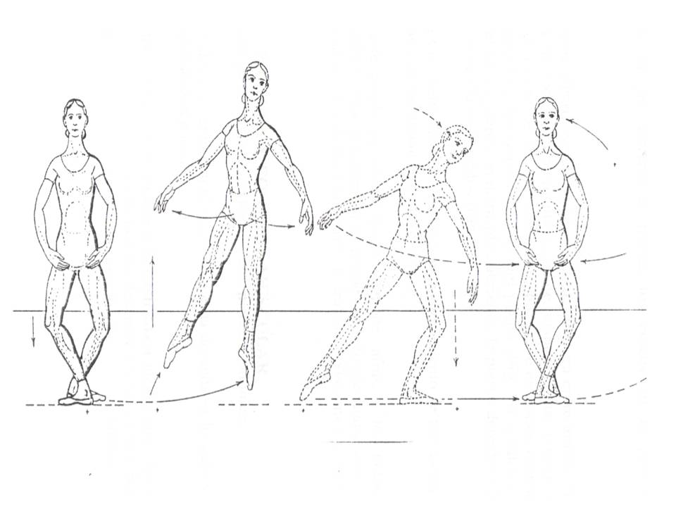 The Classic Ballet: SISSONE FERMEÉ