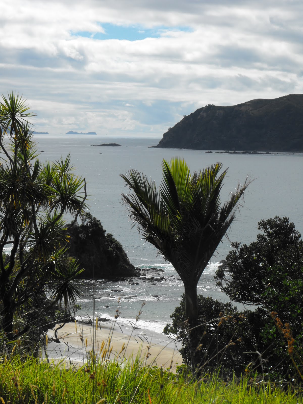 Tuateawa: WAIKAWAU: KAWETOTO REEF BY WAY OF WAIMANU RD.