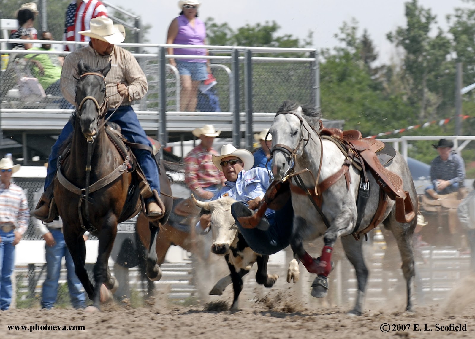 South Dakota Professional Rodeo Team: Team Members