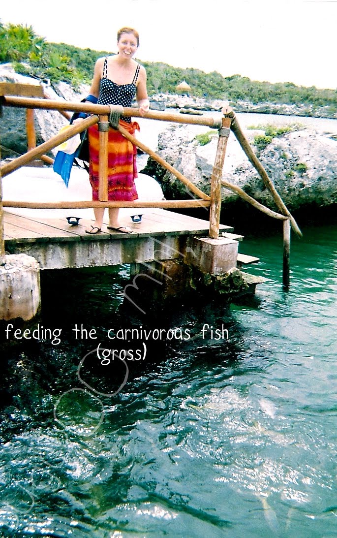 feeding carnivorous fish,