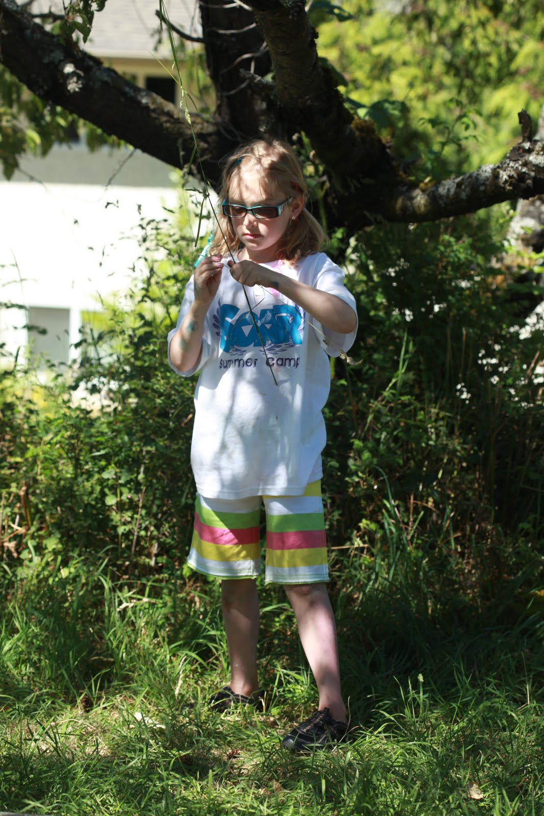 Life in Colour: The Summer of 2010 - Week #2